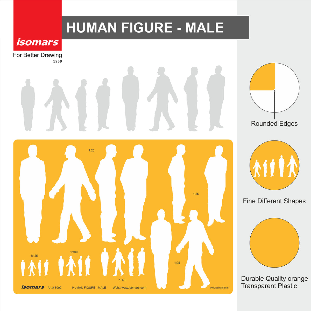 Human Figure Template - Male – Touch of Art & Craft Materials